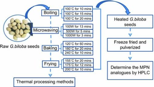 Importance of Thermal Processing in Food Industry
