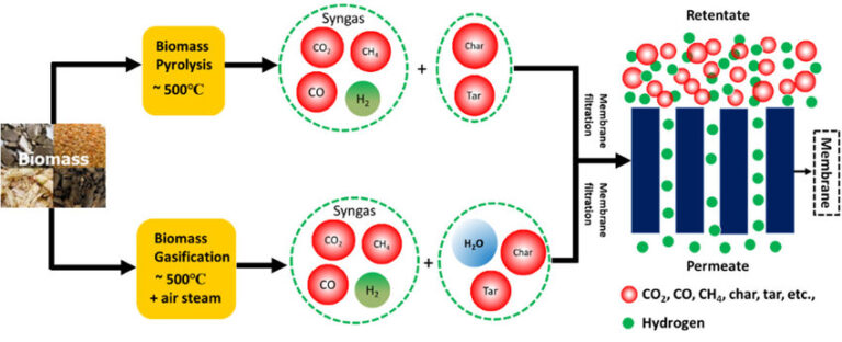 Production of Hydrogen from Biomass